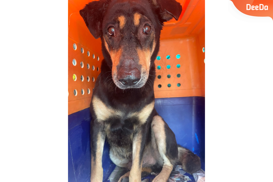 SOSD Rehabilitation Centre (SRC)